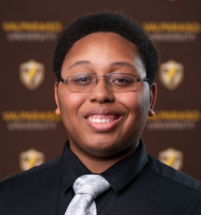 The Andrew Brimmer Undergraduate Essay Prize